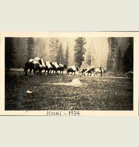 The Lochsa - Lochsa Lodge