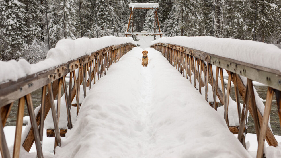 Winter - Lochsa Lodge