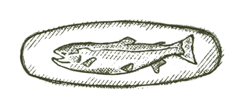 Fly Fishing the Lochsa River: What You Need To Know - Lochsa Lodge