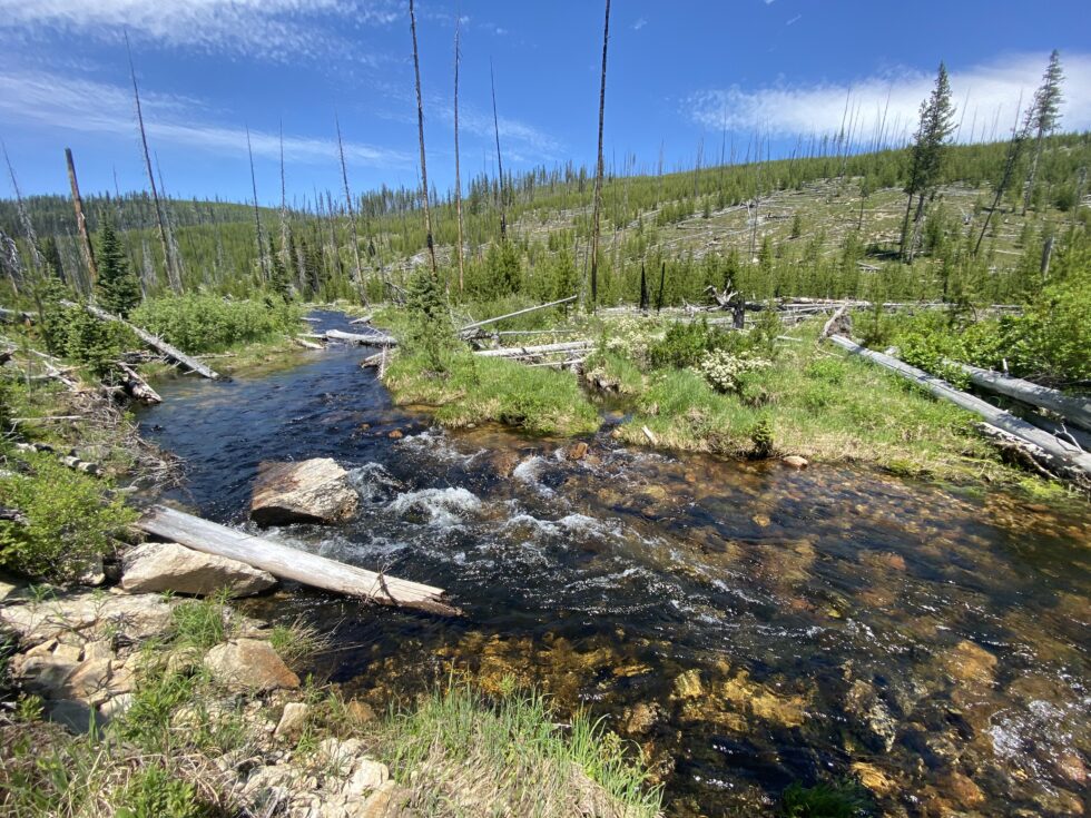 Fly Fishing the Lochsa River: What You Need To Know - Lochsa Lodge